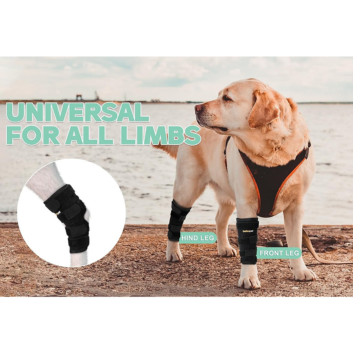 Lyderpet Dog Leg Brace for Hind Hock Joint, Rear Ankle Compression Wrap with Metal Strips Strong Support for Torn ACL & CCL, Prevents from Injury and Sprain, Helps with Wounds Care and Arthritis (S)