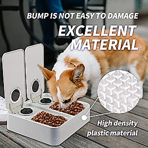 All for Paws Automatic Cat Feeder 2 Meal Dog Feeder, Dry and Wet Food Dispenser with 48-Hour Timer, Ice Pack Included, Dishwasher Safe