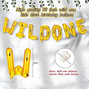 16 inch Happy Birthday Balloons, Birthday Banner, Birthday Decorations, and 12 Pieces Artificial Ivy Garland (Wild One)