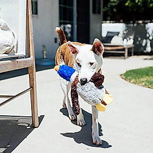 Outward Hound Flapperz Plush Crinkle Duck Dog Toy, 2-Pack - Grunt, Crinkle & Flop, Small