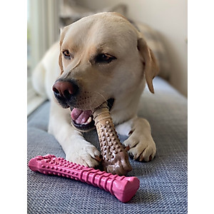 Nylabone Power Chew Breast Cancer Awareness Femur Bone Chew Toy for Dog, Indestructible Dog Toys for Aggressive Chewers, Chicken Flavor, X-Large/Souper (2 Count)