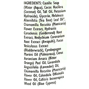 Trader Joe's Spa Face Wash with Tea Tree Oil (2 Packs)