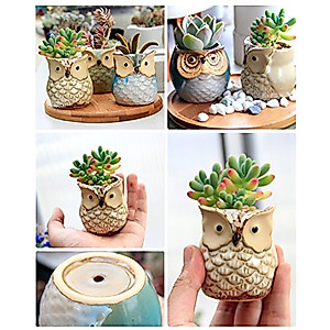 ROSE CREATE 6 Pcs 2.5 Inches Owl Pots, Little Ceramic Succulent Bonsai Pots with a Hole - Pack of 6
