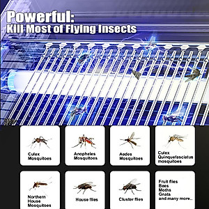 Bug Zapper Indoor, Powerful Electric Mosquito Zapper, LED Light Less Power, Durable Fly Trap Mosquito Trap, Ariie Fly Killer Fly Zapper