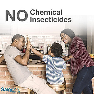 Safer Brand Home SH500SR Indoor Fruit Fly Trap – Ready-to-Use, Non-Staining, No synthetic Insecticides – 2 Traps, Blue