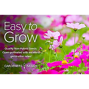 Cosmos Seeds for Planting Outdoors Flower Seeds (4 Variety Pack) Cosmos Candystripe, Sensation Mix, Dazzler, Purity Pink and White Varieties for Bees, Pollinators Wildflower Seed by Gardeners Basics