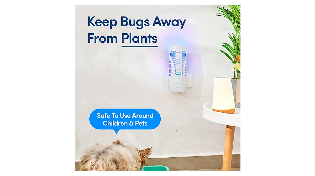 Shieldeck Mosquito Trap: Safe Indoor Bug Zapper