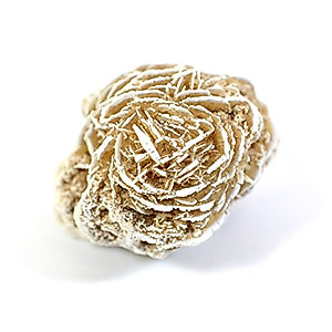 2" Desert Rose Specimen (Selenite), Single Piece