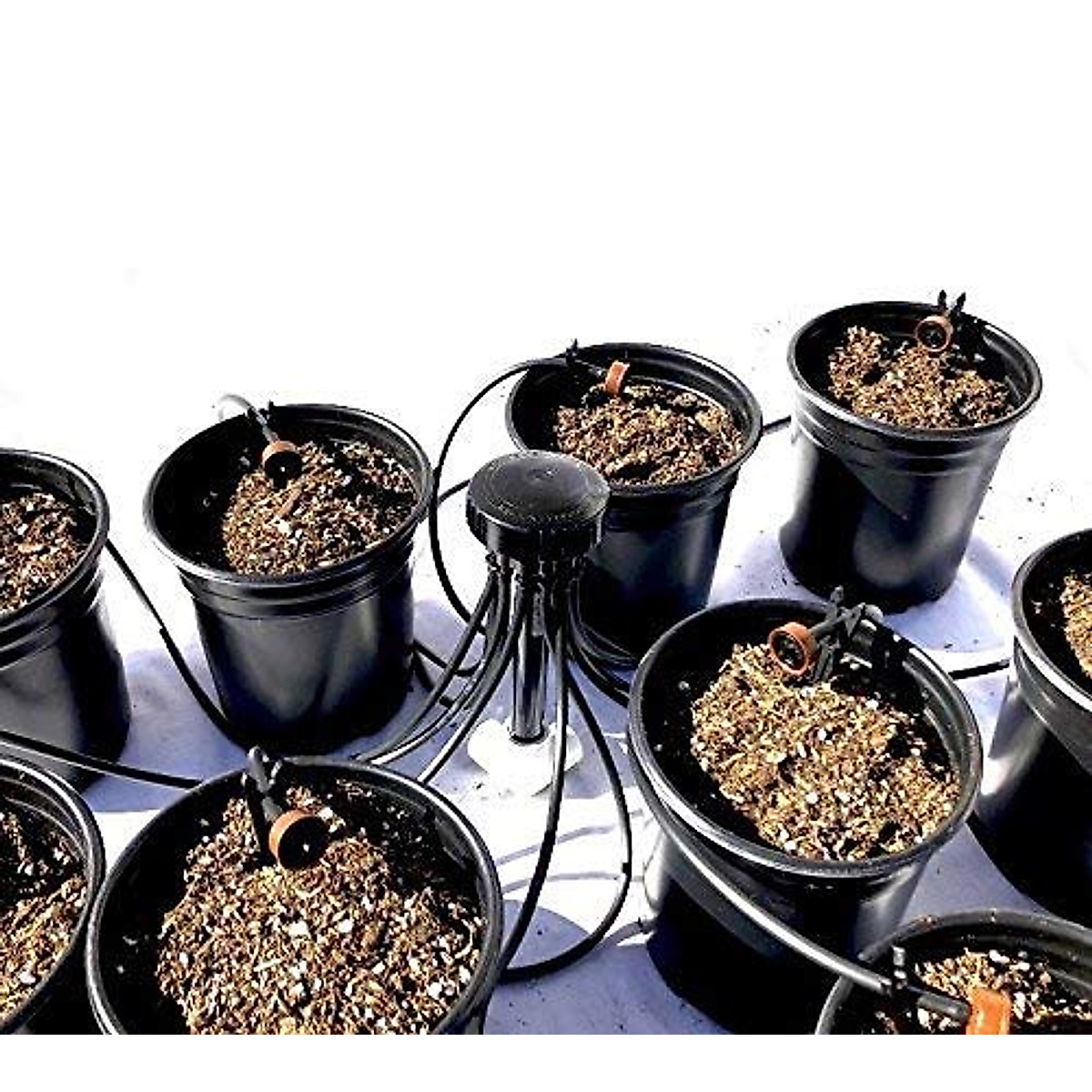 (3.3 GPH) - 12 Plant Drip Grow Kit - Starter Hydroponics Irrigation Bubbler/Manifold Kit - Includes 100'ft 1/8" Distribution Tubing, Emitter Stakes, Manifold & Plugs (Pots Sold Separately) (3.3 GPH)