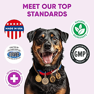 Dog Allergy Relief Chews for Itchy Skin - Allergy Chews for Shedding, Licking Paws, Hot Spot, Itchy Skin and Ears - USA Product - Omega 3 Fish Oil Skin & Coat Supplement - Anti Itch Immune Treats