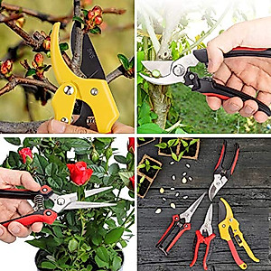 KOTTO 4 Pack Professional Bypass Pruning Shears, Stainless Steel Cutter Clippers, Sharp Hand Pruner Secateurs, Garden Trimmer Scissors Kit with Storage Bag and Protection Gloves