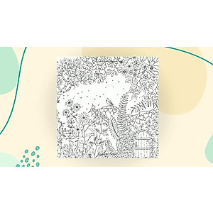 Secret Garden: An Inky Treasure Hunt and Coloring Book for Adults