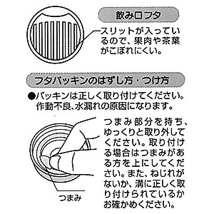 Skater KURASHI PDC2 Mug Bottle, Petite, Water Bottle, Mini, 5.3 fl oz (160 ml), My Neighbor Totoro