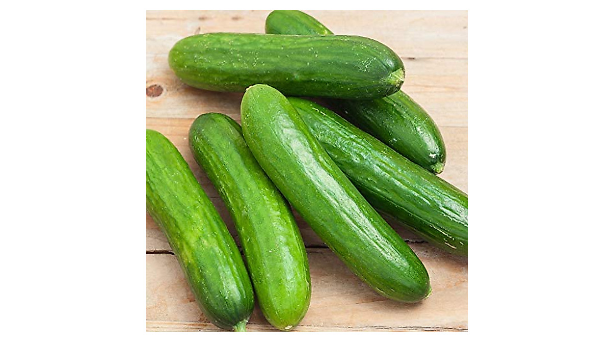 Spacemaster 80 Cucumber Seeds - Ideal for Small Gardens