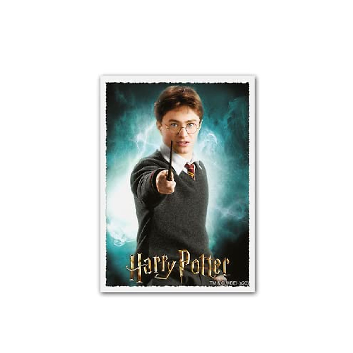 Arcane Tinmen Dragon Shield Sleeves - Matte Art 100 CT - MGT Card Sleeves - Compatible with Magic The Gathering Card Sleeves Pokémon and Other Card Games - Limited Edition: Harry Potter: Harry Potter