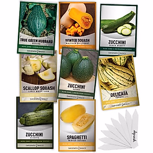 8 Squash Seeds for Planting Individual Packets - Zucchini, Delicata, Butternut, Spaghetti, Scallop, Caserta, Round and Hubbard for Your Non GMO Heirloom Vegetable Garden by Gardeners Basics