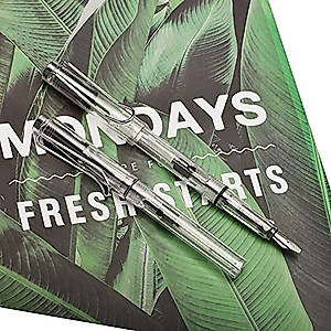 Lanxivi Yongsheng Calligraphy Fountain Pen Set Transparent Clear, 6 Assorted Tip Sizes for Art Drawing and Writing Signature