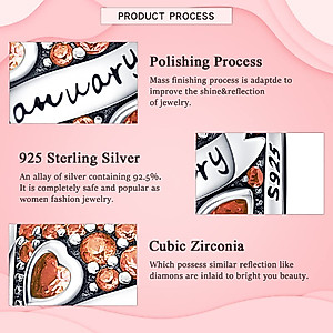 HappyStar 925 Sterling Silver Month Birthstone Charm for Bracelets Necklace，with 5A Cubic Zirconia Dangle Pendant Bead,Happy Birthday Valentine's Day