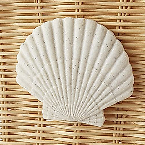 SKL Home Coastal Collage, Champagne-Wastebasket