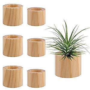 Set of 6 Wood Air Plant Holder- 2 Sizes Rustic Style Air Plant Pots Indoor Decorative Air Plants Display Containers Table Centerpiece for Home Office Tabletop Decor Supplies(Internal Dia 1.2" & 1.4")