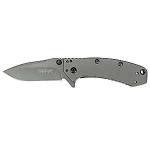 Kershaw Cryo Knife, 2.75" Stainless Steel Drop Point Blade, Assisted Opening Everyday Carry Pocket Knife