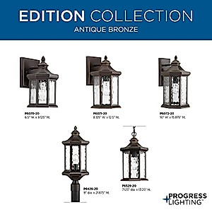 Progress Lighting Edition Collection 1-Light Water Glass Traditional Outdoor Medium Wall Lantern Light Antique Bronze, 7"