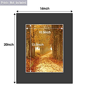 Golden State Art, Pack of 25, Acid-Free Black Pre-Cut 16x20 Picture Mat for 11x14 Photo with White Core Bevel Cut Frame Mattes