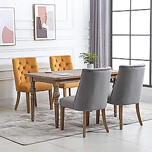 Dolonm Modern Dining Chairs Set of 2 Upholstered Button Tufted Dining Chair with Nailhead Trim Accent Wingback Velvet Wooden Chair for Dining Room Kitchen Bedroom (Orange)
