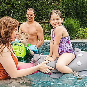 Big Joe Pool Petz Large Hippo Animal Pool Toy Float, Hippo Shape Mesh, 3ft