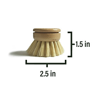 Larga Vitae 6 pcs Wooden Dish Brush Replacement Heads Made of Renewable Bamboo Wood and Natural Bristle Fiber, Durable, Long Lasting (Tampico Fiber)