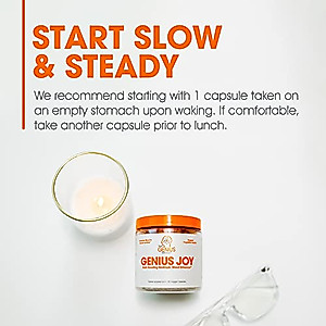 Genius Joy, Nootropic Mood Enhancer Supplement - Support Cognitive Health, Enhance Mood & Neural Function with Brain Boosting L-Theanine, Panax Ginseng & SAM-e
