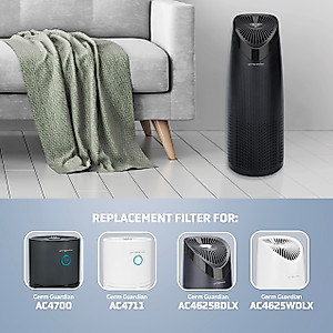 GermGuardian Filter M HEPA Pure Genuine Air Purifier Replacement Filter, Removes 99.97% of Pollutants, for AC4700, AC4711 and AC4625 Air Purifiers, Black FLT4700