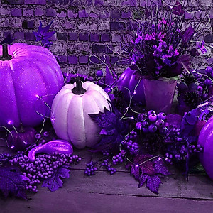 QITONG Warm White Solar Fairy Lights Outdoor Waterproof, 2 Pack Each 33ft 100 LED Solar String Lights, 8 Modes Copper Wire Solar Christmas Twinkle Lights for Garden Yard Patio Fence Decoration