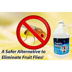 Natural Elements Fruit Fly Killer | Drain Flies, Gnats, Flying Ants | Home & Commercial Use | Non-Toxic Gel Formula | 1 Gallon | 128 Fl Oz