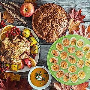 HANSGO Deviled Egg Tray Platter, Round Egg Tray Devil Egg Carrier with Lid for Party Favor Thanksgiving Table, 22 Egg Slots