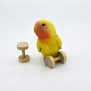 POPETPOP Parrot Toy 4pcs Creative Parrot Chewing Toys Wooden Dumbbell Playthings Funny Bird Cage Toy for Small Cockatiels Conures Parakeets Finch Educational Toys