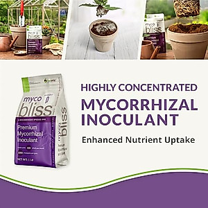Myco Bliss Powder (2lbs) - 5 Strain Mycorrhizal Inoculant with 1,000 Propagules per Gram - Highly Concentrated Mycorrhizae for Plants, Potting Soil, Indoor Plants, Outdoor Plants, & Houseplants