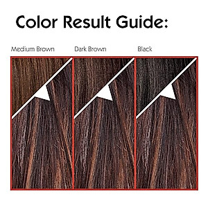 L'Oreal Paris Couleur Experte 2-Step Home Hair Color and Highlights Kit, French Éclair