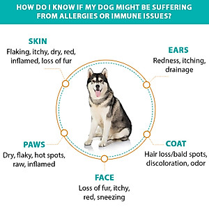 RestoraPet Allergy, Itch & Immune Soft Chews - Natural Supplement for Dogs - Support Immunity, Soothe Skin Irritation, Improve Coat Quality – with Lactoferrin, Colostrum & Omega 3-60 Bacon Chewables