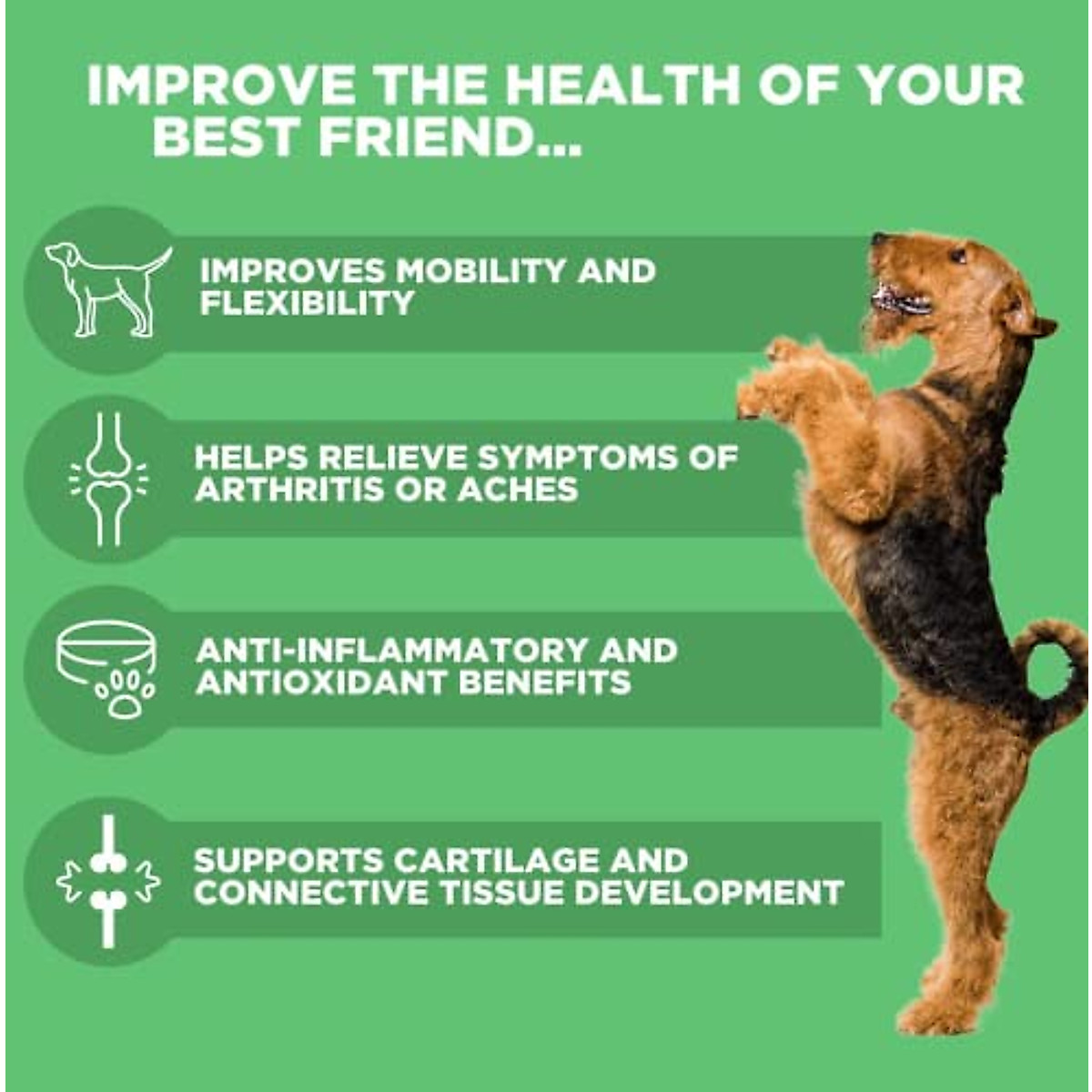 Deley Naturals Hip and Joint Support Supplement for Dogs - Advanced Arthritis Pain Relief - Chondroitin, MSM, Organic Turmeric, & Glucosamine for Dogs - Made in USA - 120 Grain Free Soft Chews