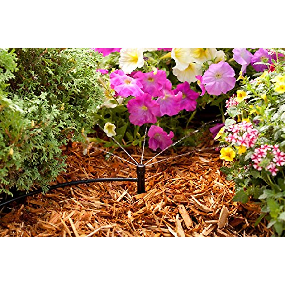 Rain Bird MBH4PKS Drip Irrigation Micro-Bubbler on Stake, 180° Half Circle Pattern, 0 - 3' Spray Distance, 4-Pack