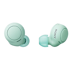 Sony WF-C500 True Wireless Headphones - Up to 20 Hours Battery - Charging case - Voice Assistant Compatible - Built-in mic for Phone Calls - Reliable Bluetooth - Mint Green