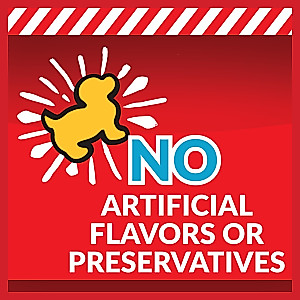 Pup Corn Plus - Puffed Dog Treats with Prebiotics and Probiotics - Holiday Cheer Flavored (24oz) - Made in USA