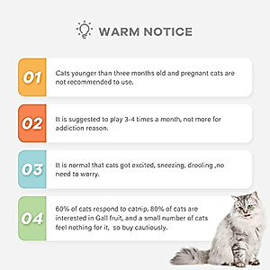 Snow Pet Magic Catnip Wall Balls Toys for Cats Wall Treats Kitten Treat Toys Indoor Catnip Ball Toys Teeth Cleaning Chew Silvervine Catnip Balls