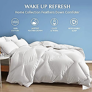 Dafinner Feathers Down Comforter Queen - Geometric Quilted Blanket with Corner Tabs, 55oz Medium Warm All Season Duvet Insert or Stand-Alone Comforter (90x90, White)