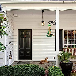 DUOUPA Upgraded Hanging Plant Bracket Outdoor Indoor Decorative Iron Wall Hooks for Hanging Plant, Bird Feeder, Flower Basket, Lanterns, Wind Chimes, Ornaments, Black (1 Pack)