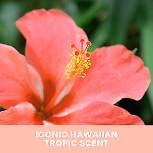 Hawaiian Tropic Sunless Tan Light/Medium Self-Tanning Foam, 6.7oz | Self Tanner Light, Self Tanner Medium, Sunless Tanner, Sunless Tanning Foam, 6.7oz