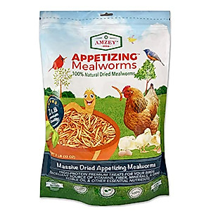Amzey Dried Mealworms -2 LBS- 100% Natural Non GMO Mealworms -Food for Chicken- High Protein Mealworms for Bird, Duck Food, Bearded Dragon Diet, Gecko Food, Turtle Food, Lizard Food - Bulk Mealworms