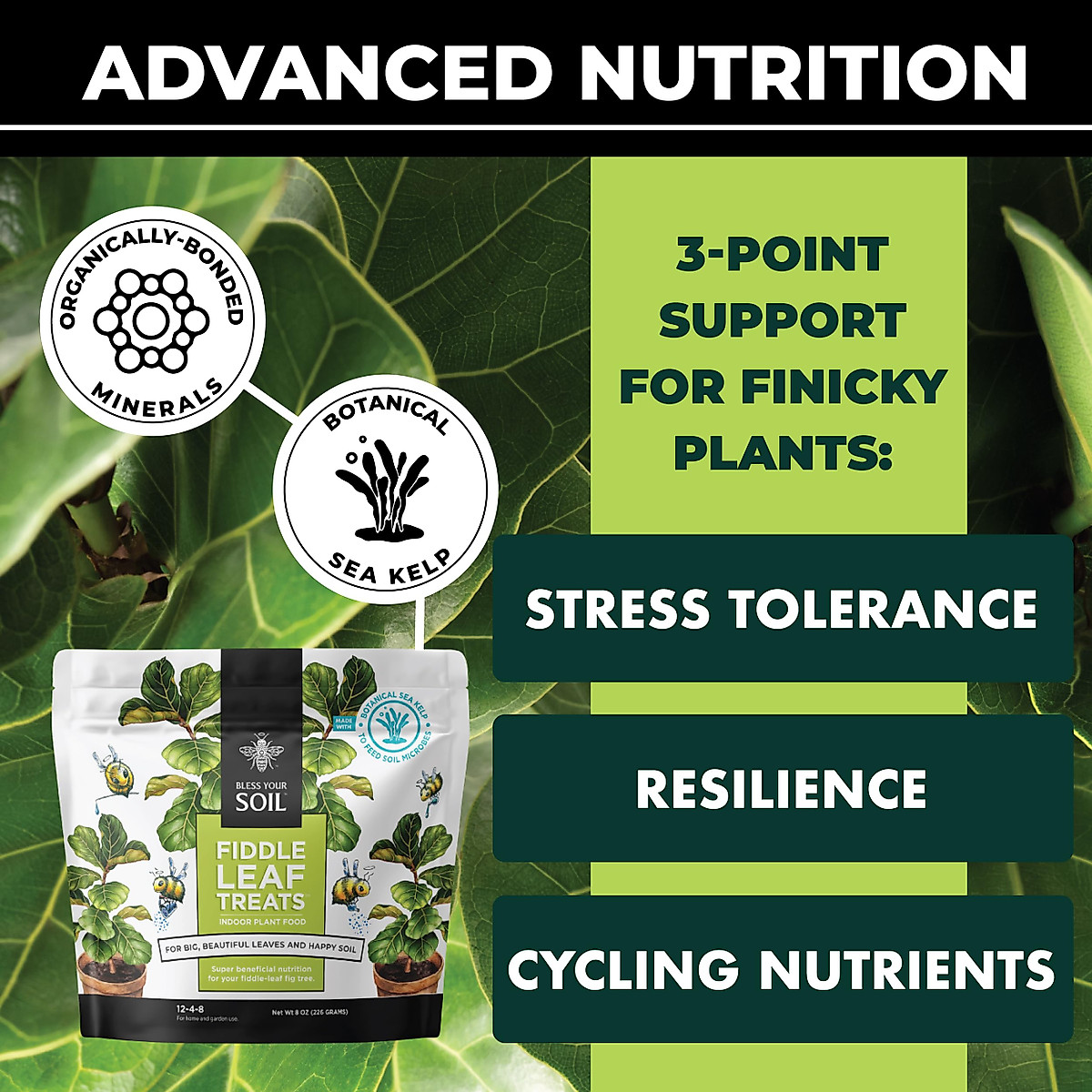 Fiddle Leaf Treats : Plant Food for Fiddle Leaf Fig Fertilizer for Ficus | 3-1-2 Ratio + Sea Kelp | 4X More Active | Instant Feed