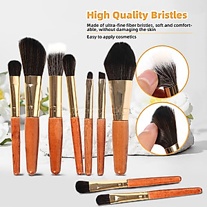 Pimoys 9PCS Travel Makeup Brushes Set, Mini Make Up Brushes with Case Portable Synthetic Brushes for Foundation Blush Powder Eye Shadow Cosmetics